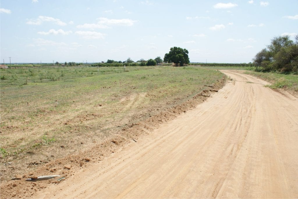 Solo arenoso: o que é, características e como aumentar produtividade