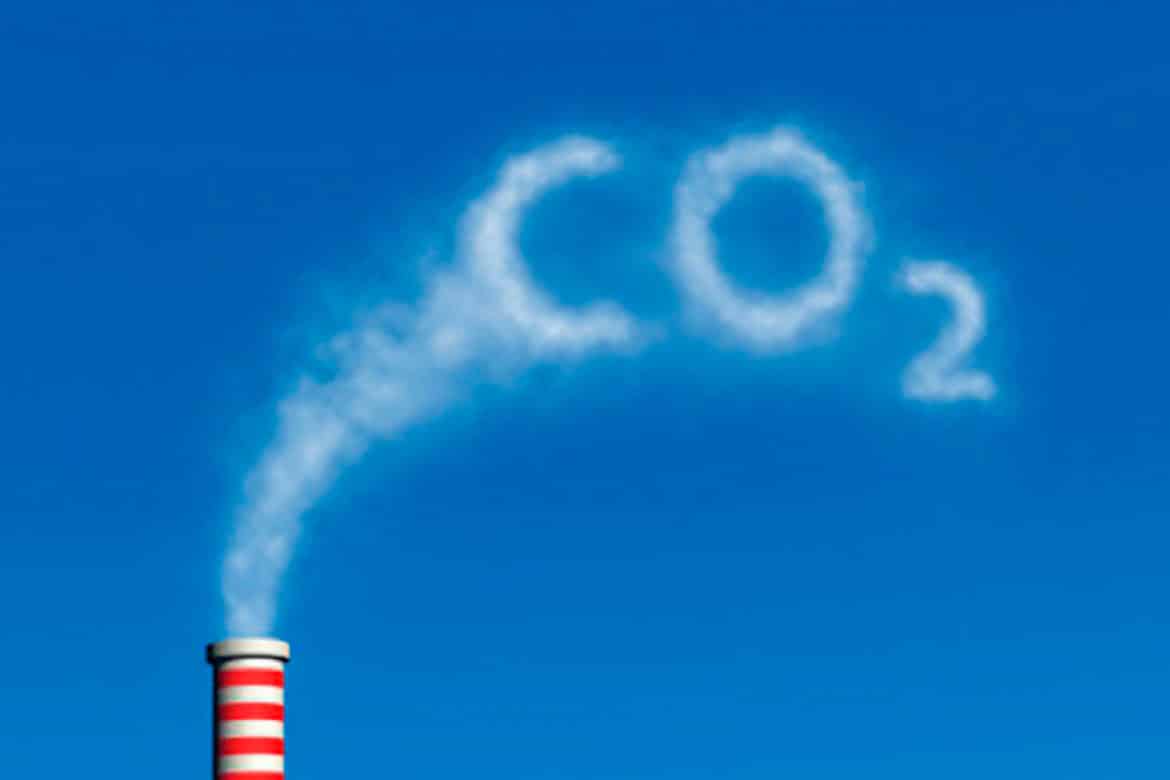 Quimiossíntese, o que é e como acontece a fotossíntese das bactérias