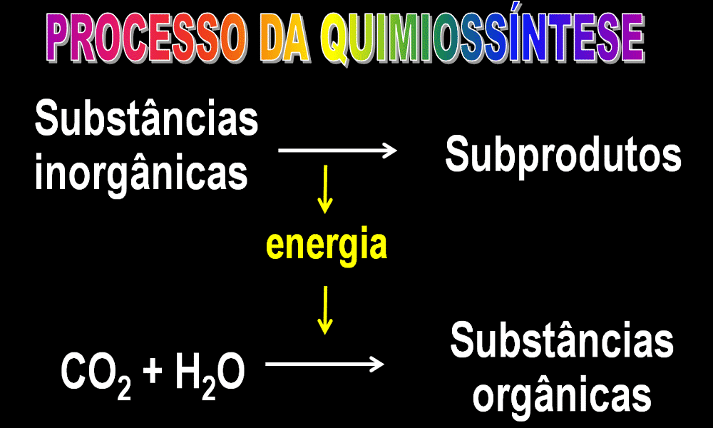 Quimiossíntese, o que é e como acontece a fotossíntese das bactérias
