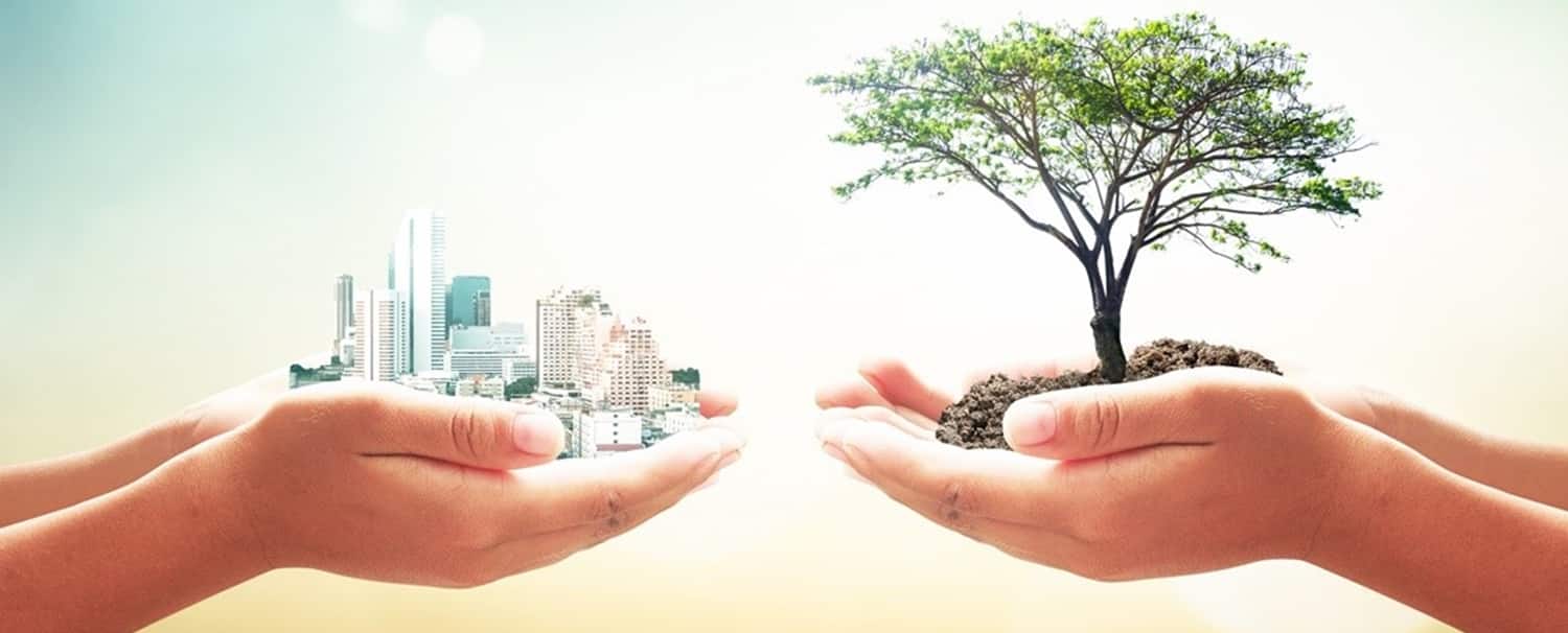 Impacto Ambiental – o que é, causas, tipos, consequências e exemplos ...