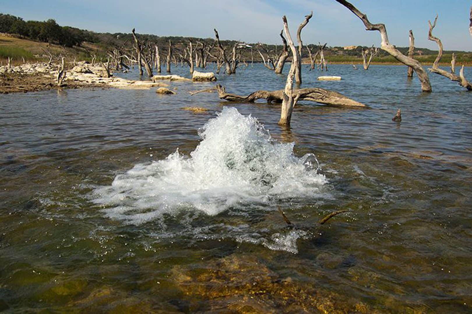 Aquífero Guarani - Formação, principais características e importância