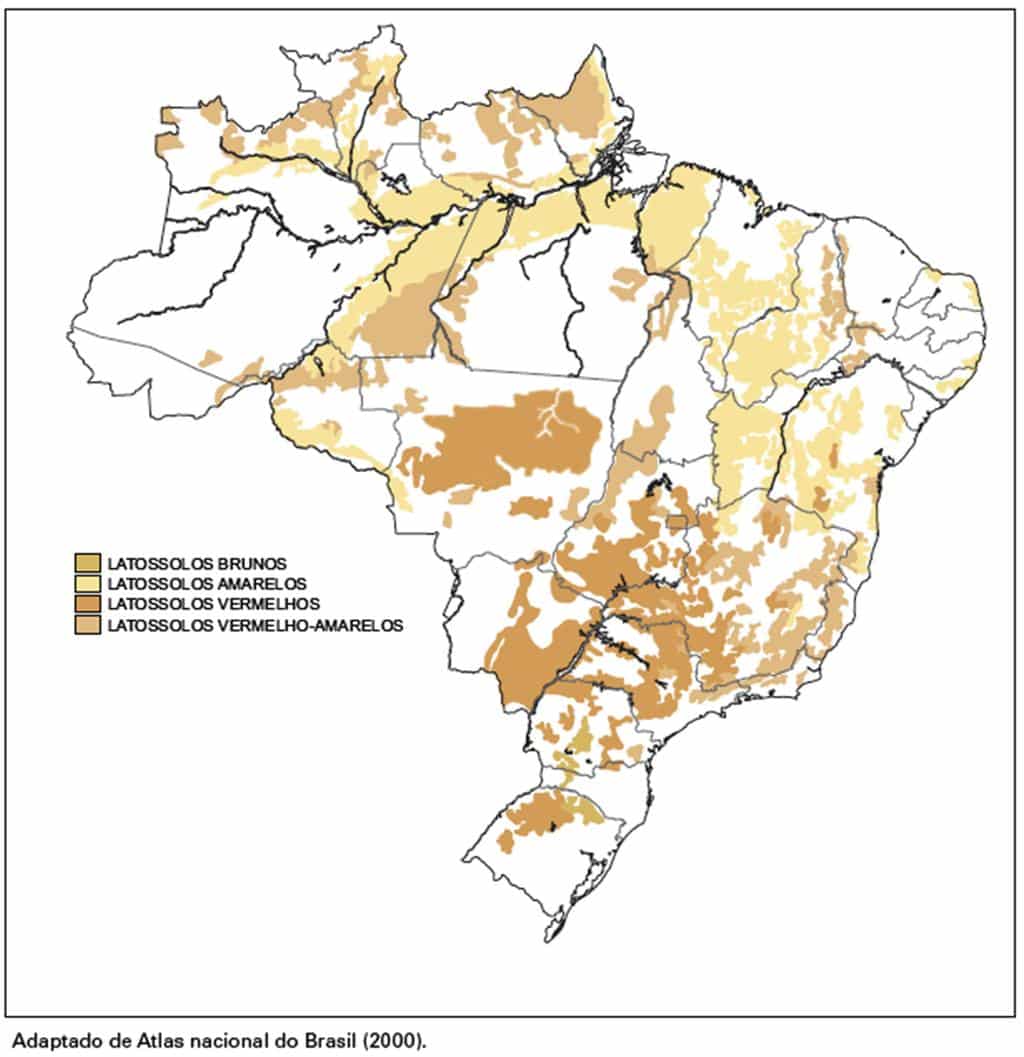 Solo: O que é, Definição, Formação, Importância e Principais Tipos