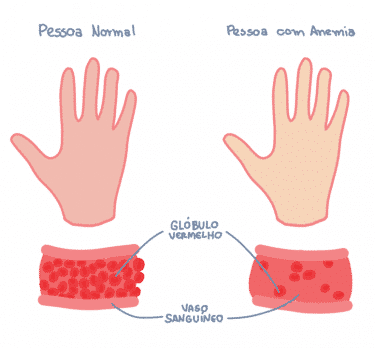 Hemácias, o que são? Definição, principais características e função