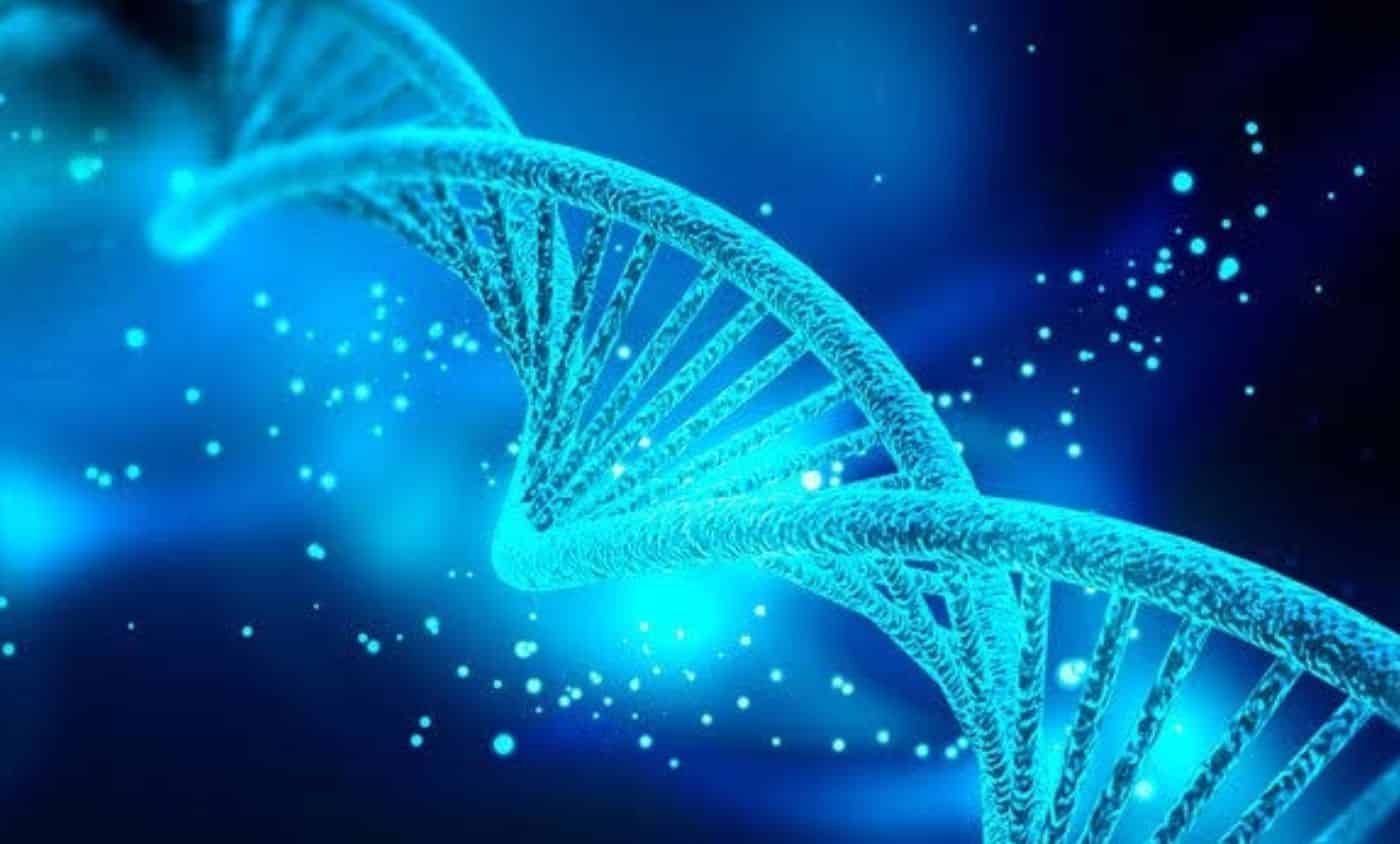 Citosina, o que é? Definição, estrutura, características e importância