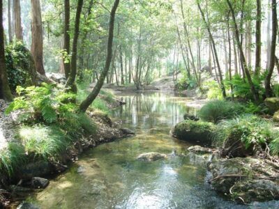 Partes de um rio: Quais são, definição, características e hidrografia