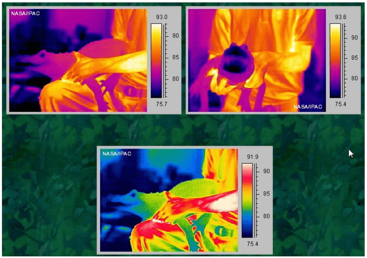 Radiação solar - O que é, como funciona e quais seus efeitos no planeta