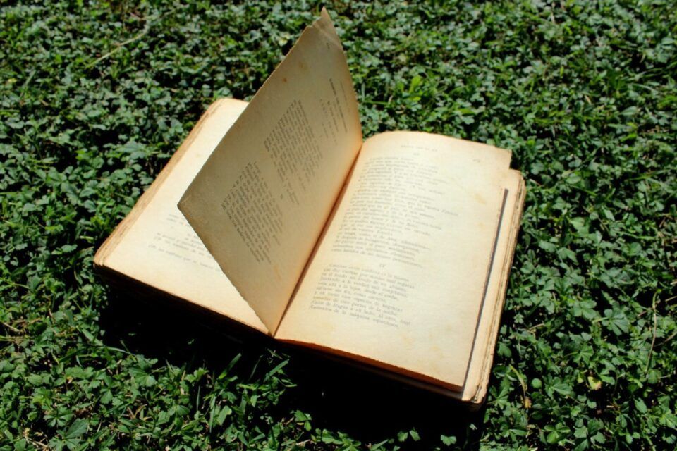 Tipos de rimas – Classificações, características e exemplos em textos